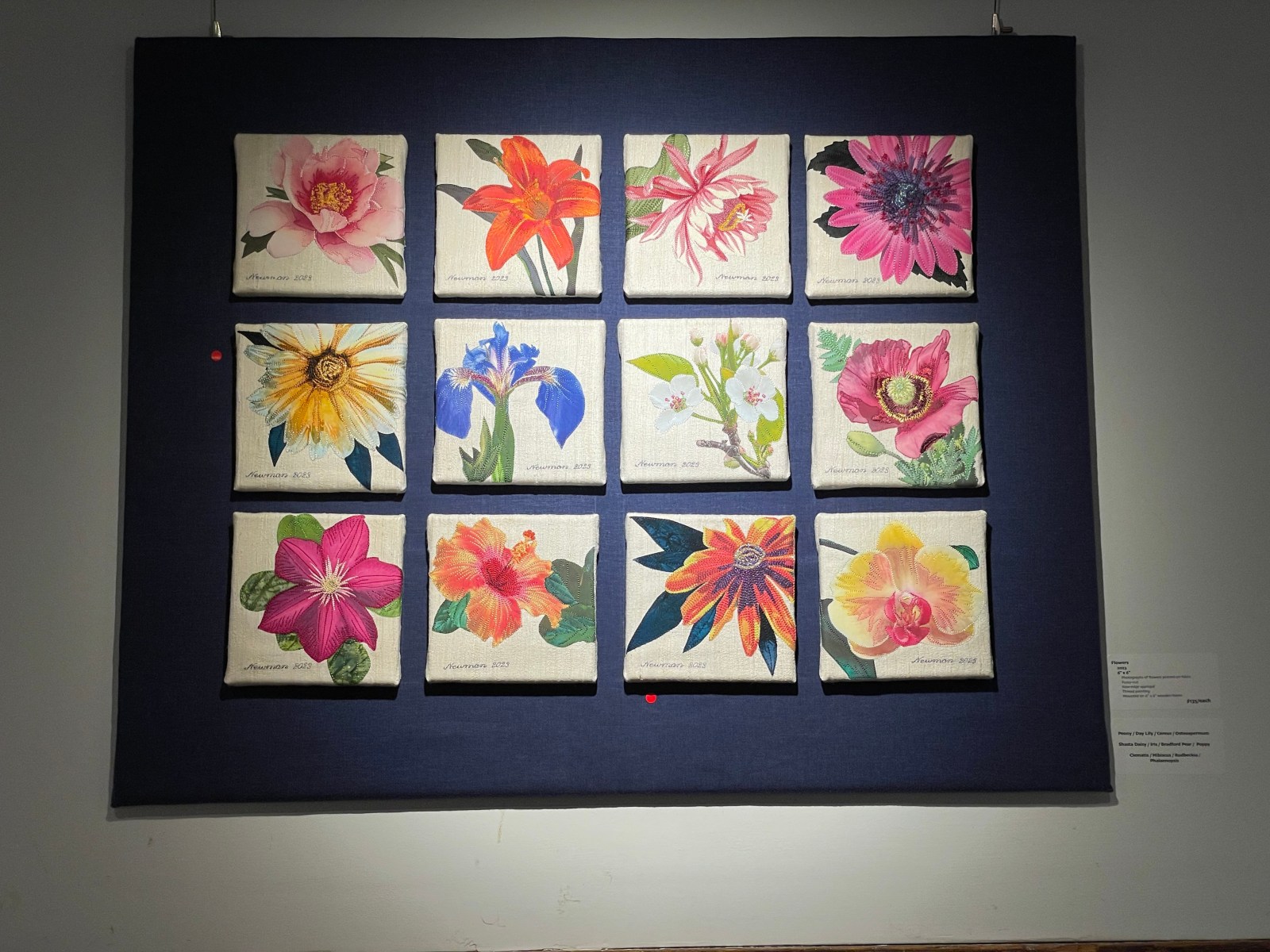 Art Lab Studios and Gallery 2023 | jmn